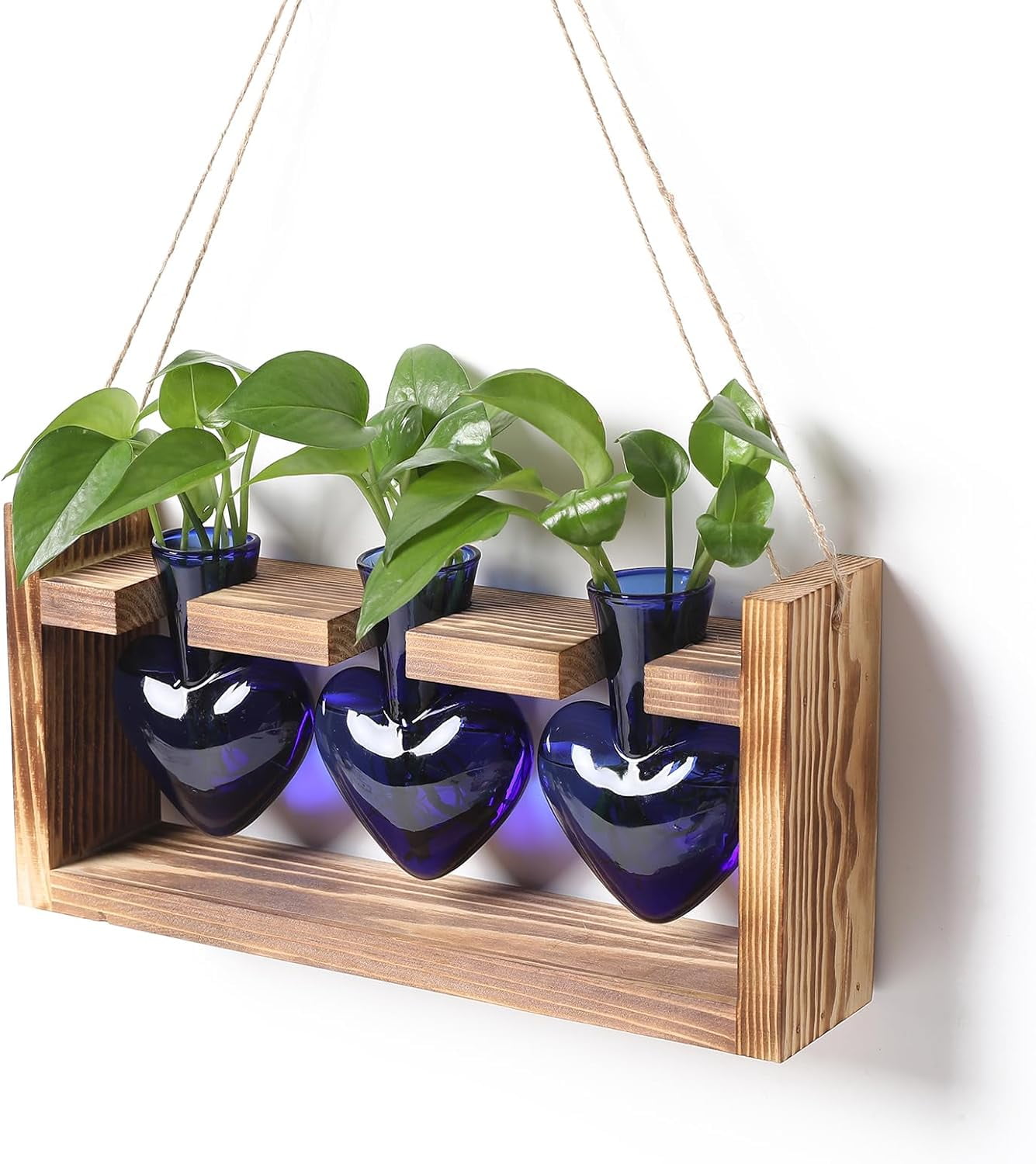 Plant Terrarium Unique Birthday Gift for Women Wall Planters for Indoor ...