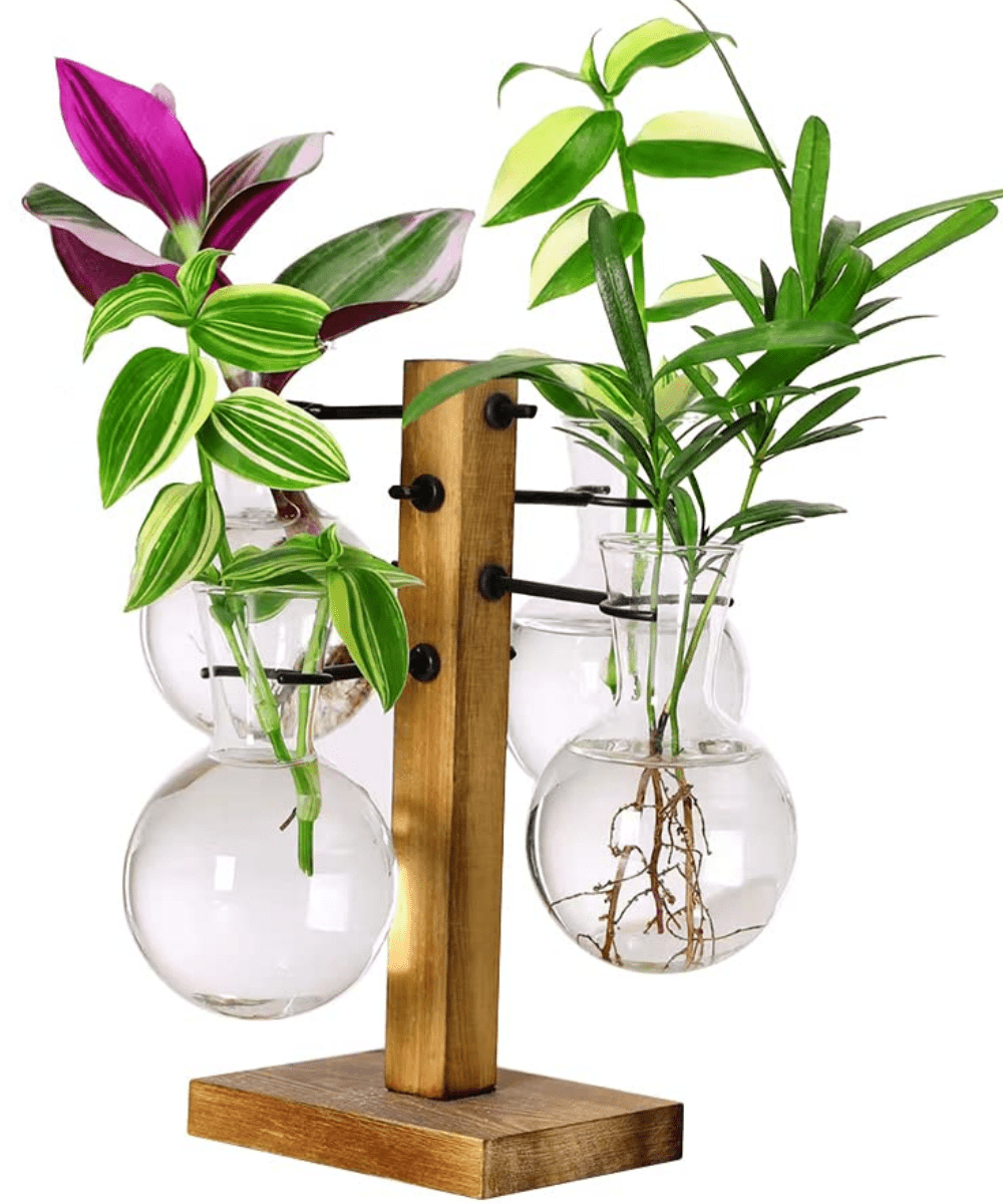 Indoor Hydroponics Air Planter Kit with 4 Bulb Glass Vase and Wood ...
