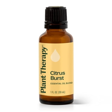 Plant Therapy USDA Certified Organic Cinnamon Cassia Essential Oil 10 ...