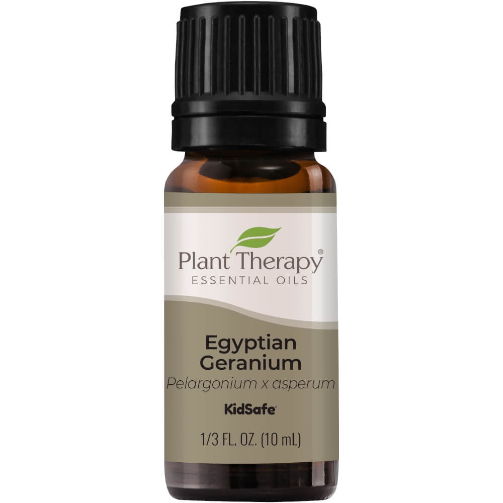 Plant Therapy Egyptian Geranium Essential Oil, 100% Pure, Therapeutic ...