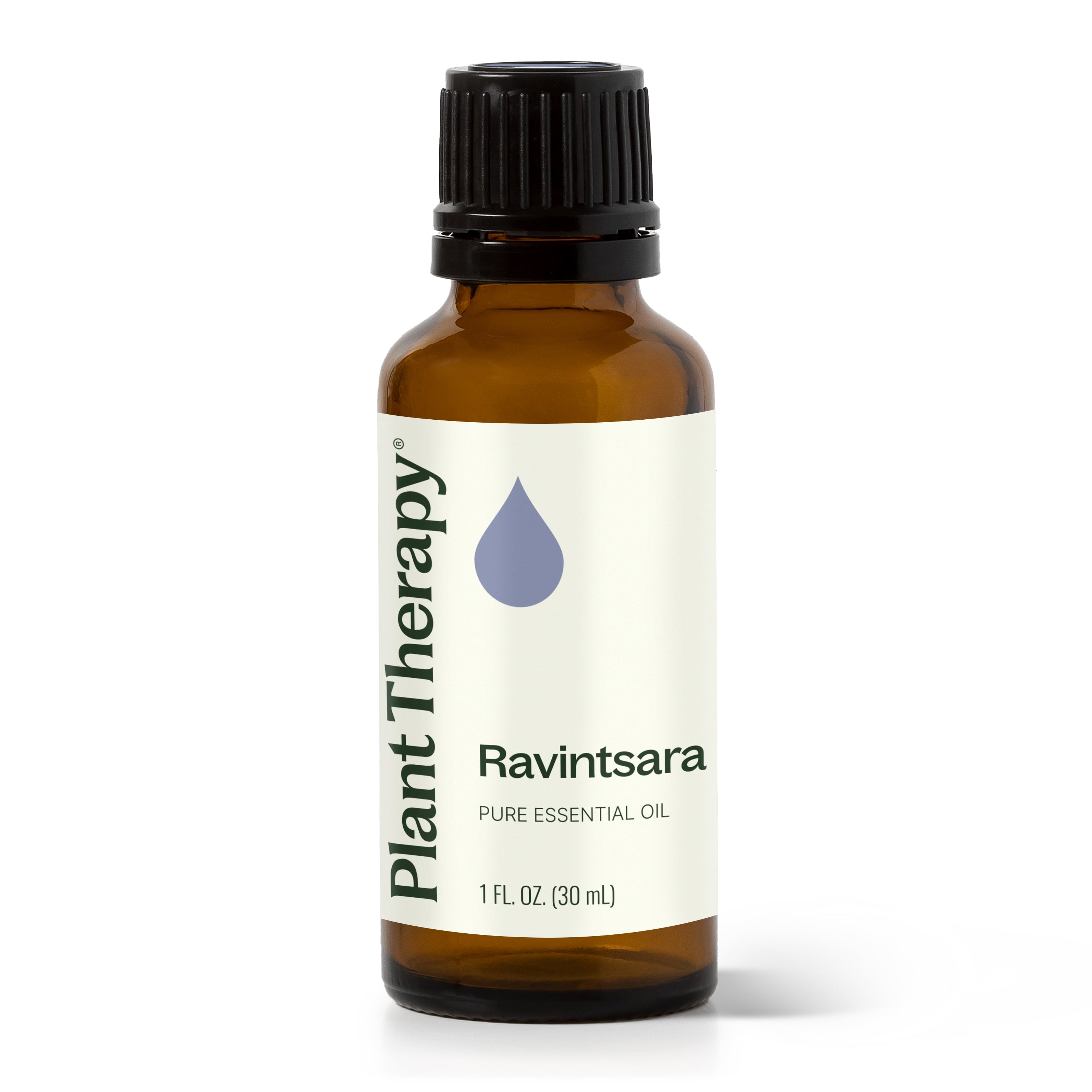 Plant Therapy Ravintsara Essential Oil 30 mL (1 oz) 100% Pure - Walmart.com