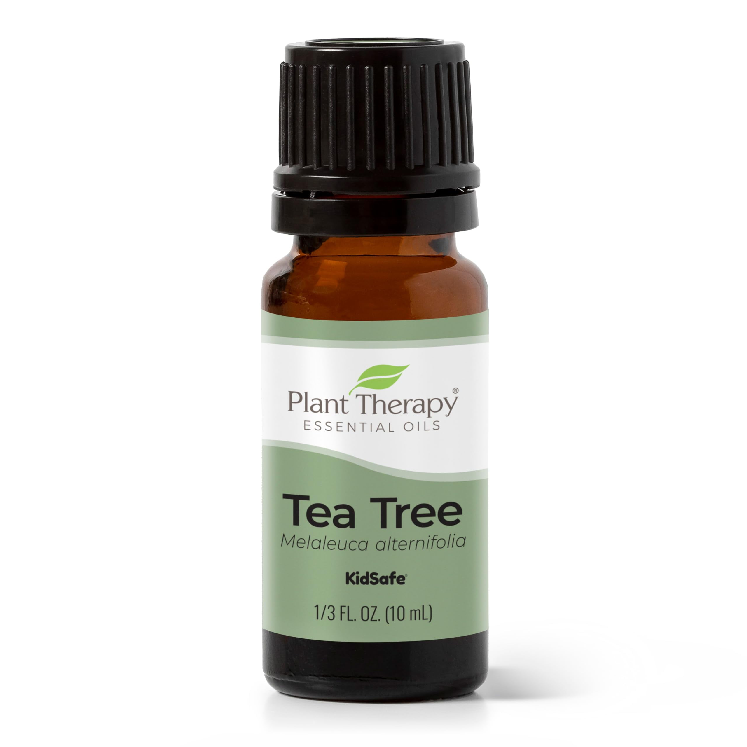 Plant Therapy Tea Tree Essential Oil 100% Pure, Undiluted, Natural ...