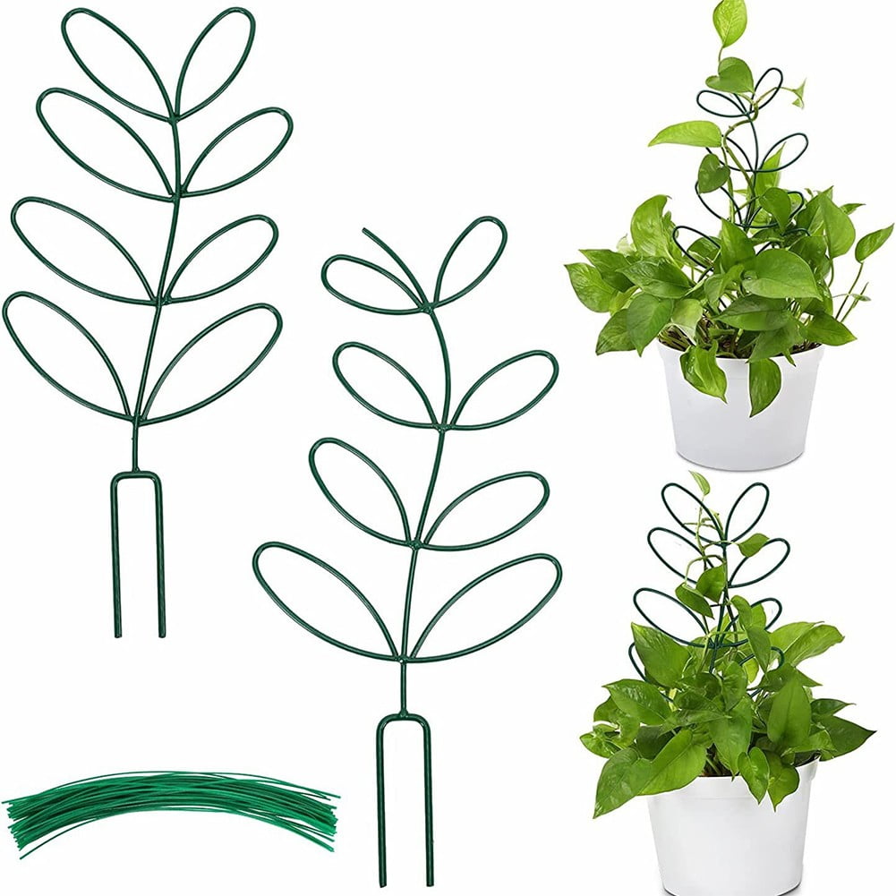 Plant Trellis For Climbing Plants - 2 Pack Metal Garden Stake Support ...