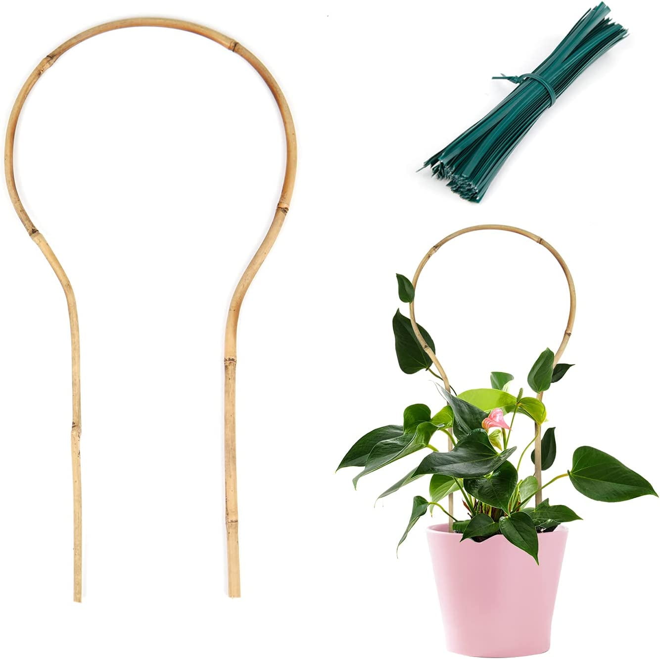 Plant Trellis Indoor 16in, Loop-Shaped Bamboo Trellis - 3 Pack for ...