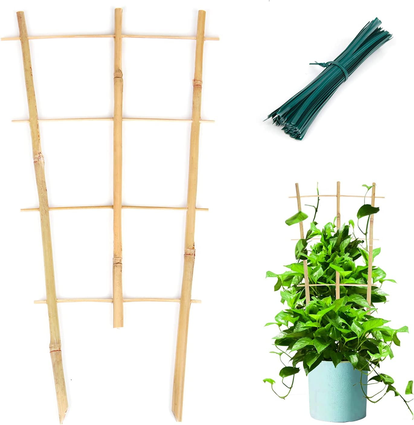 Plant Trellis Indoor, 3 Pack Bamboo Trellises, 16in Fan-Shaped Trellis ...