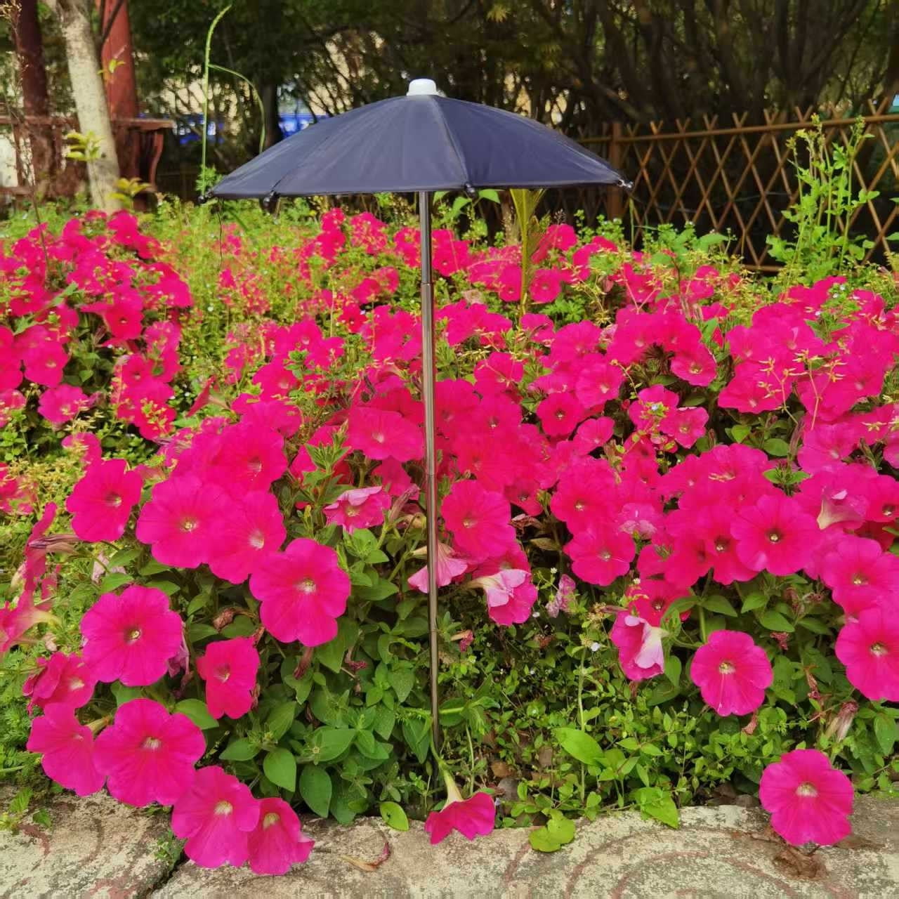 Plant Umbrellas for Outdoor Plants, Garden Beds and Umbrella Shade for ...