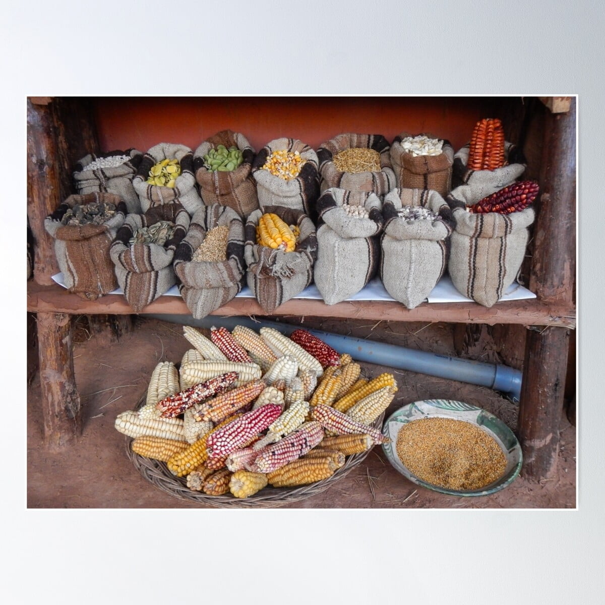 Plant Varieties Used For Dying Lama Wool In The Peruvian Andes Poster ...