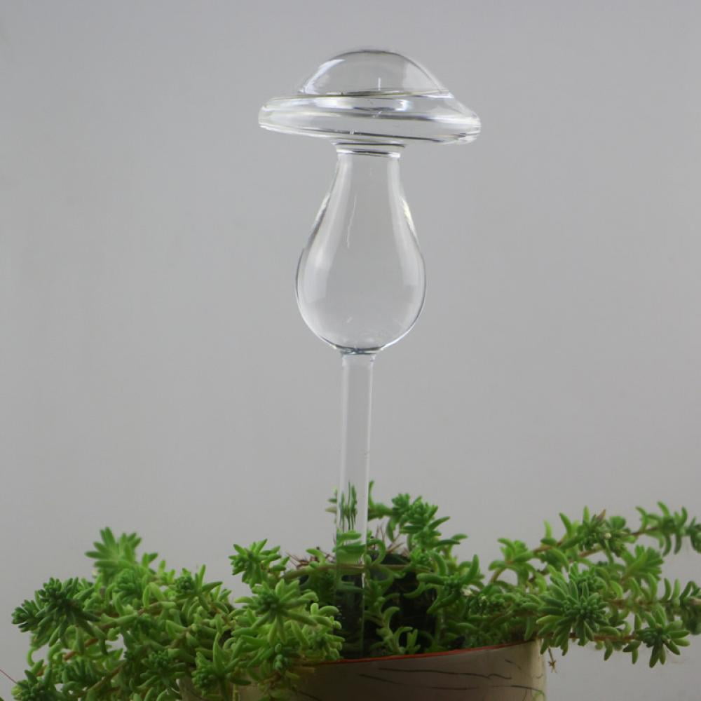 Plant Waterer Cute Self Watering Globes, Hand Blown Clear Glass Plant ...