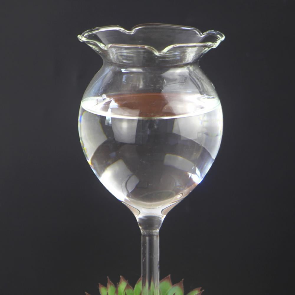 Plant Waterer Cute Self Watering Globes, Hand Blown Clear Glass Plant ...