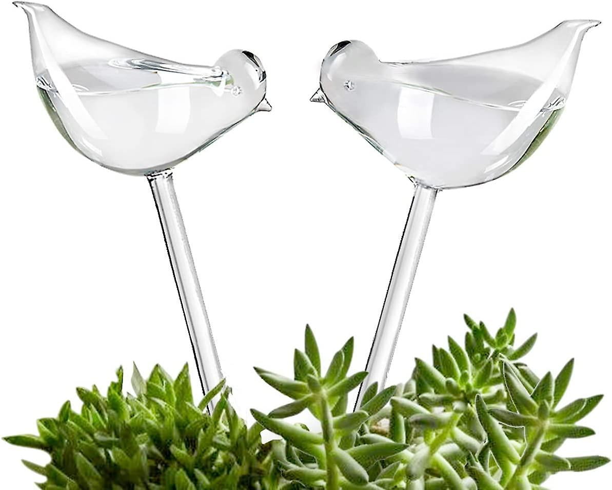 Plant Waterer Self Watering Bulbs, Hand Blown Clear Glass Plant ...