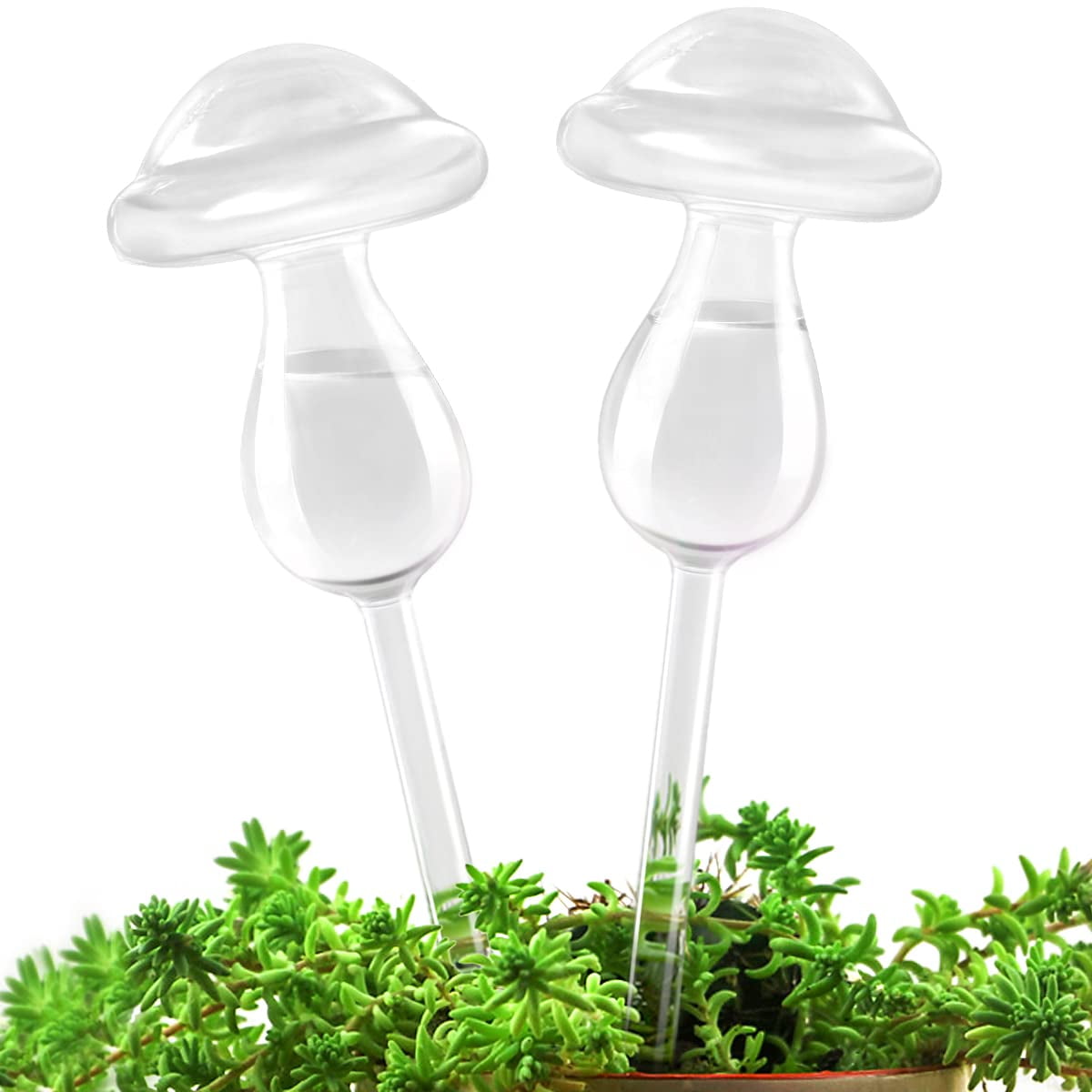 Plant Waterer Self Watering Globes, Automatic Clear Glass Plant Water ...