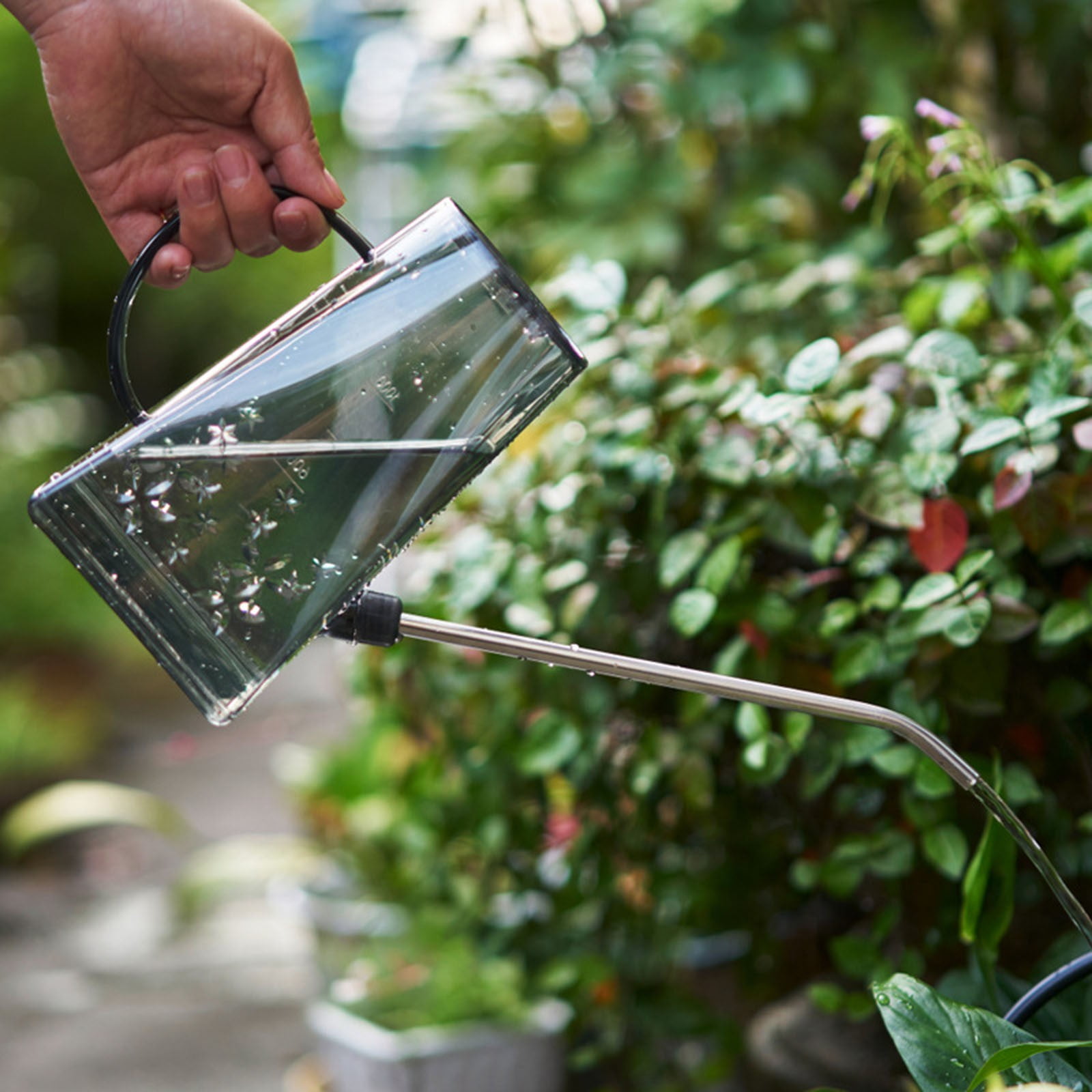 Plant Watering Can Cute Watering Can Home Gardening Transparent Pp Long ...