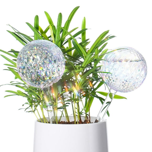 Glass Watering Globes