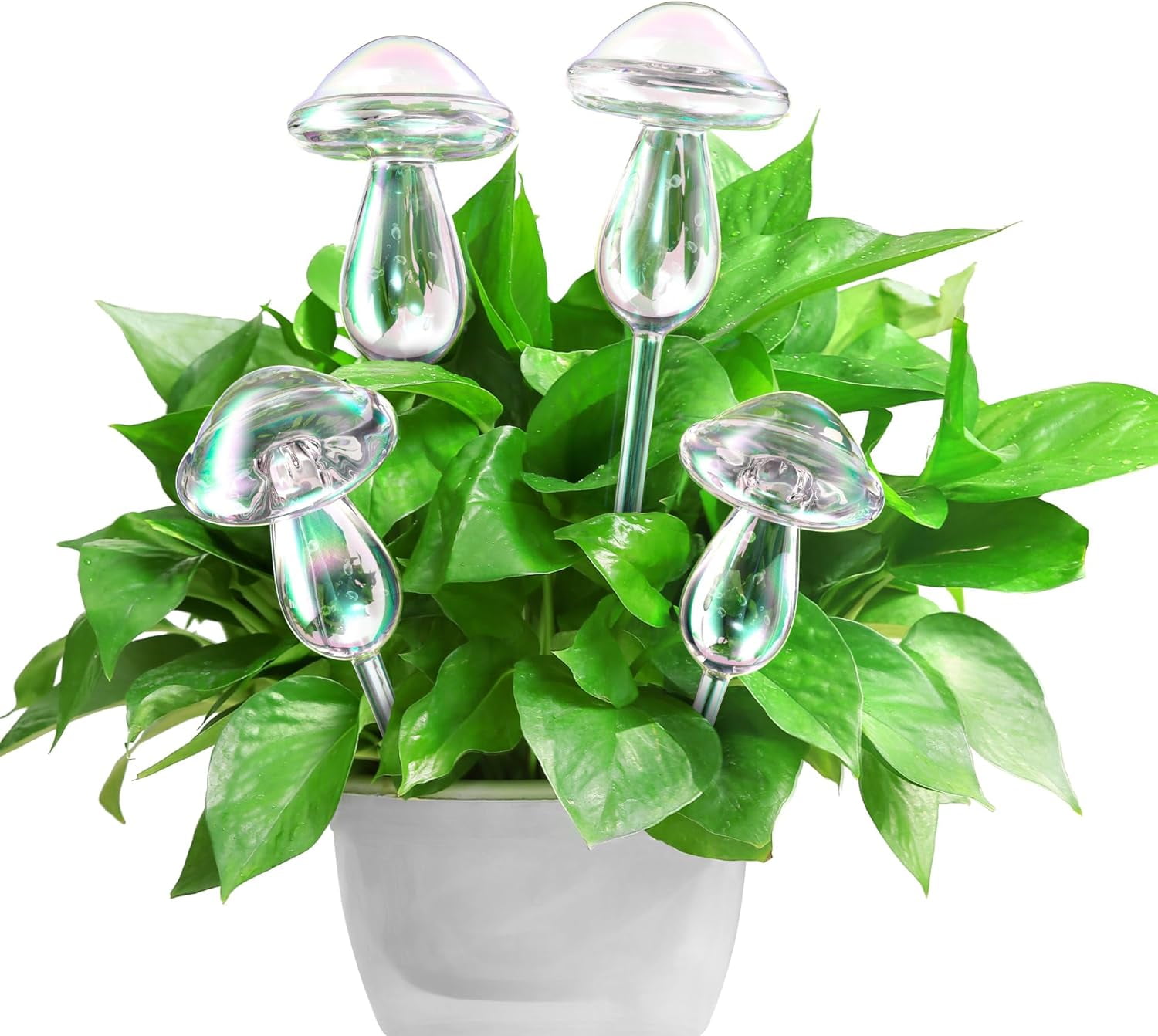 4 PCS Plant Watering Globes, Iridescent Glass Mushrooms Plant Self ...