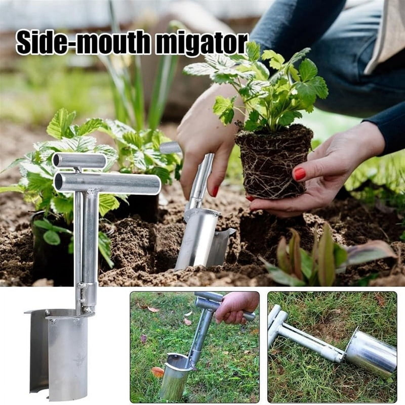 Plant and Fruit Tree Seedling Transplanter, 2024 Stainless Steel ...