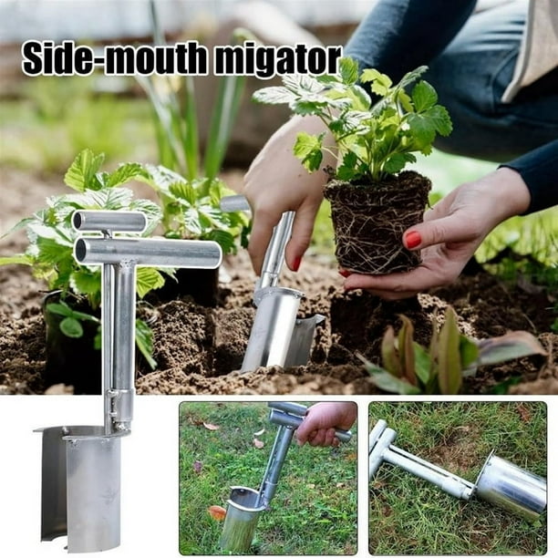 Plant and Fruit Tree Seedling Transplanter, 2024 Stainless Steel ...