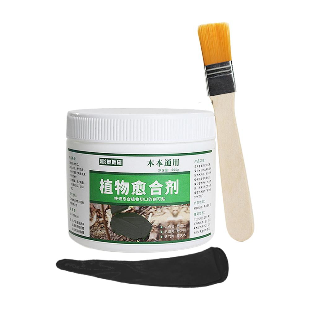Plant-based Wound Healing Agent Tree Grafting Paste Tree Wound Bonsai ...