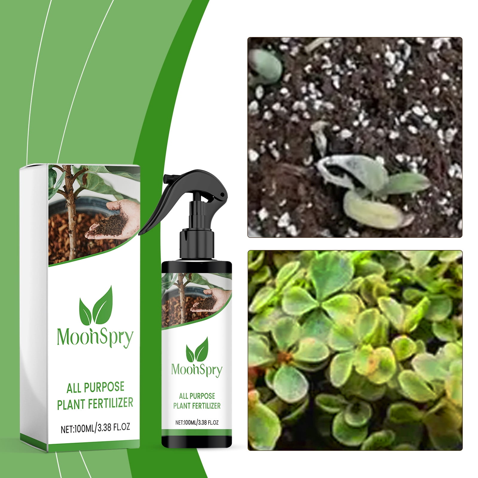 Plant growth spray, flower, succulent, green plant, lawn, green leaf ...