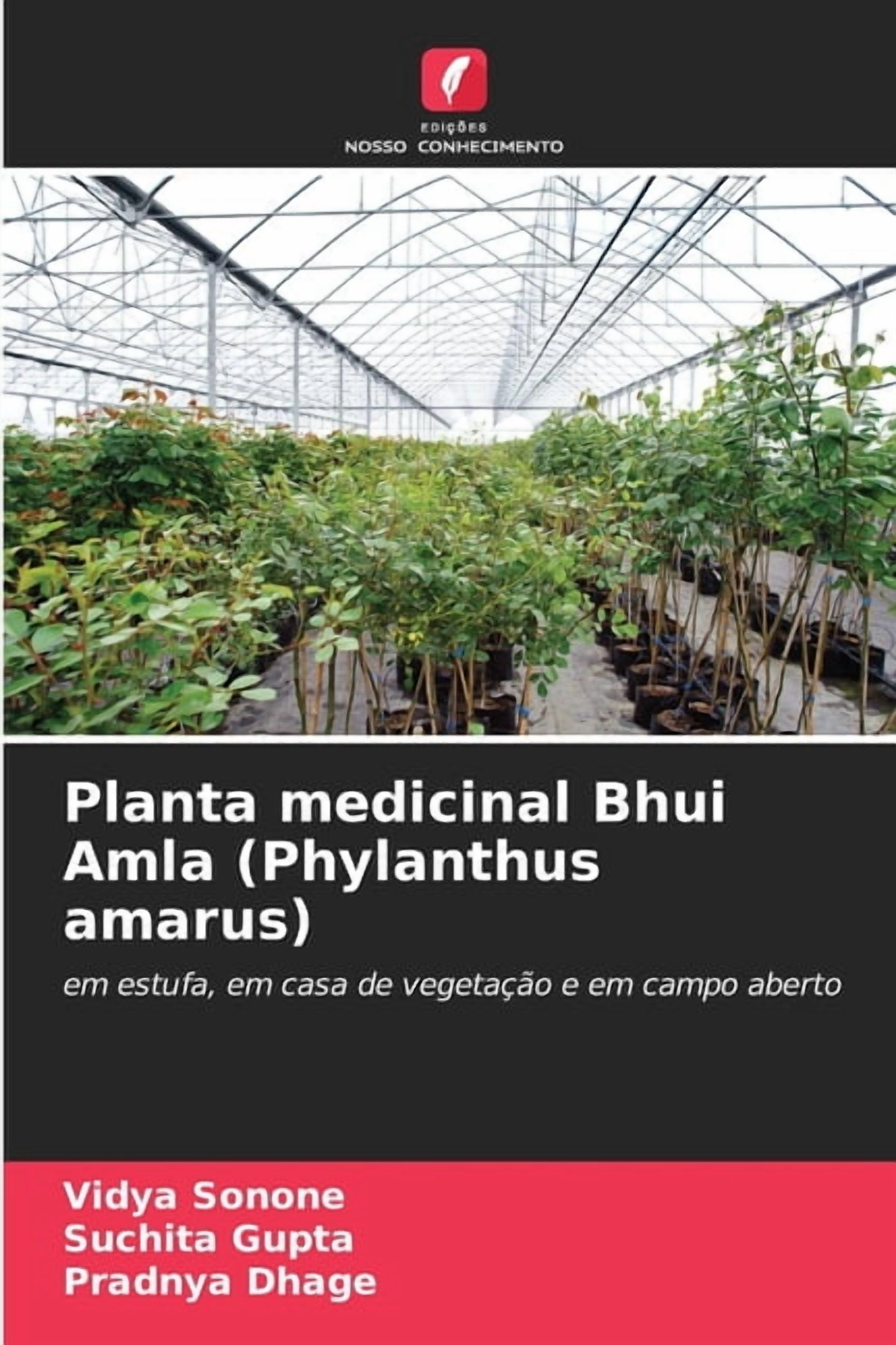 Planta medicinal Bhui Amla (Phylanthus amarus), (Paperback) - Walmart.com