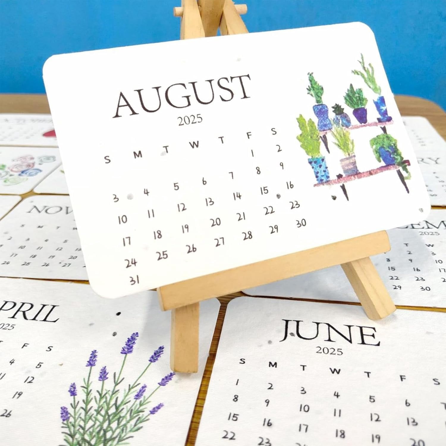 Plantable Seed Calendar 2025, From January to December, Cteative Modern ...
