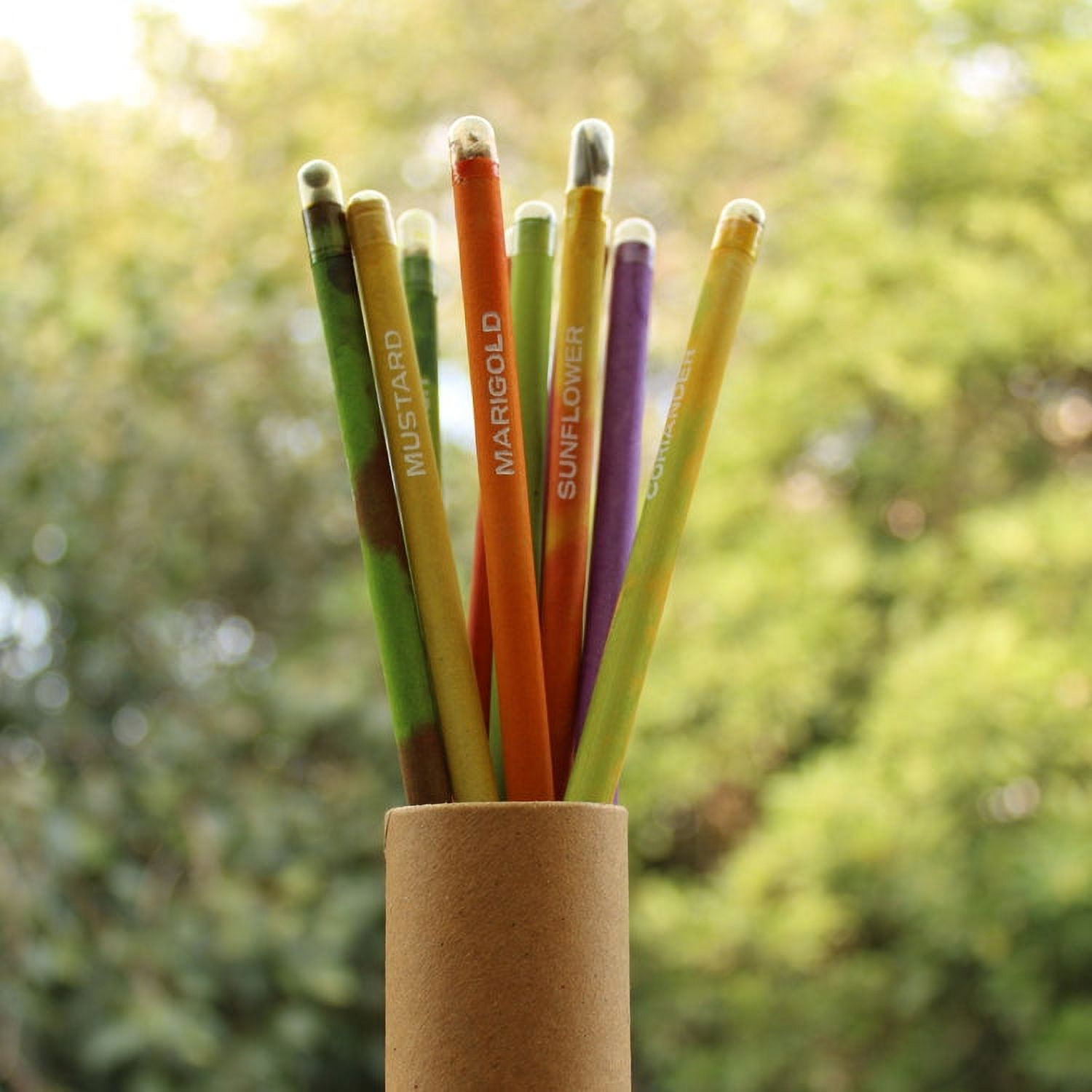 Plantable Seed Pencils (Set of 30 pencils) - Walmart.com