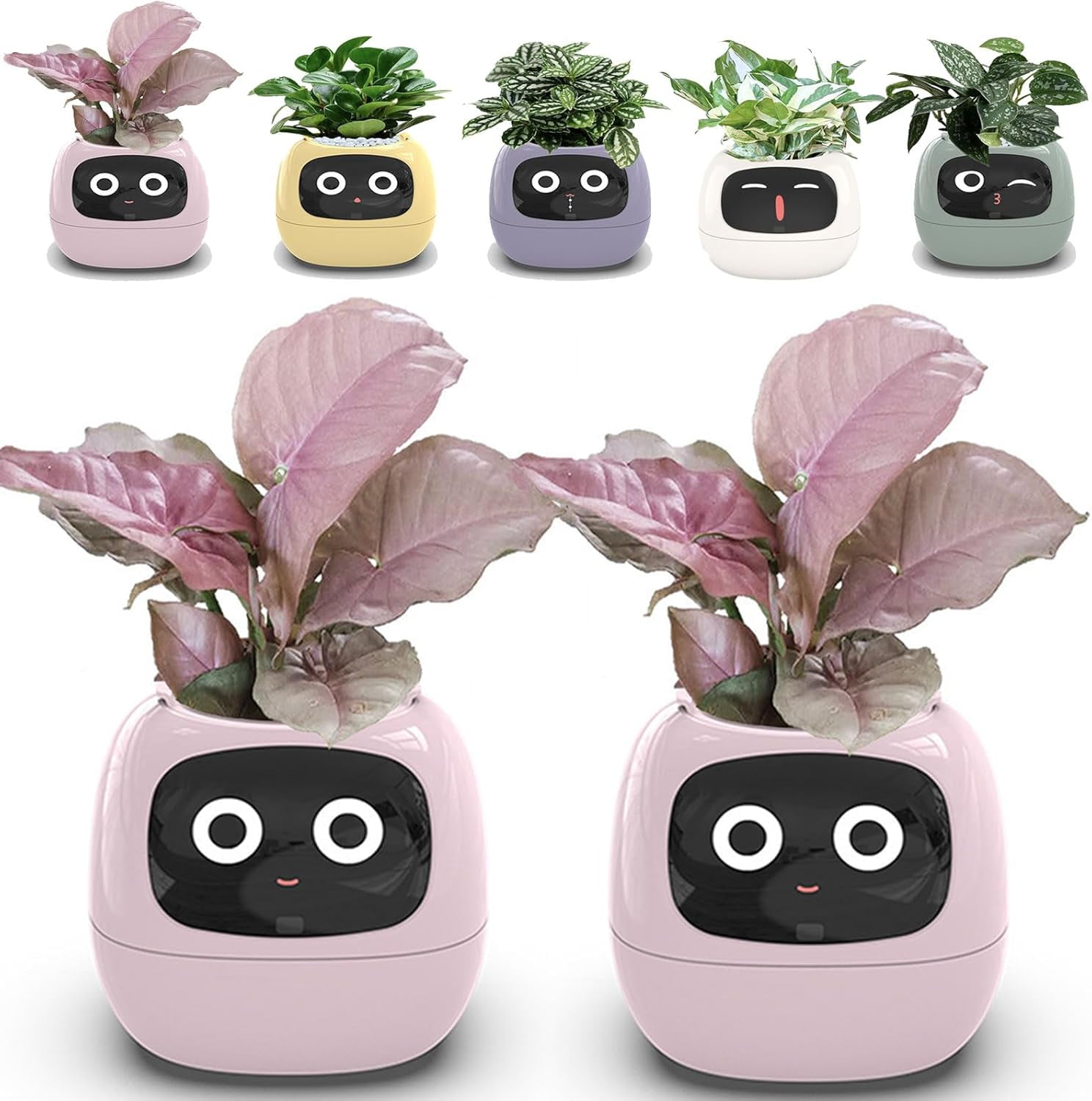 Plantagotchi Planter, Sproutly Pot, Plantagotchi Smart Planter ...