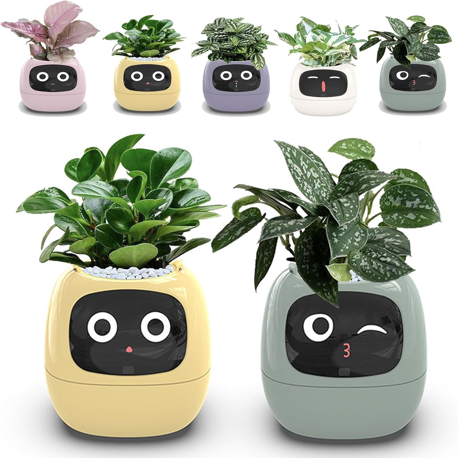 Plantagotchi Planter, Sproutly Pot, Plantagotchi Smart Planter ...