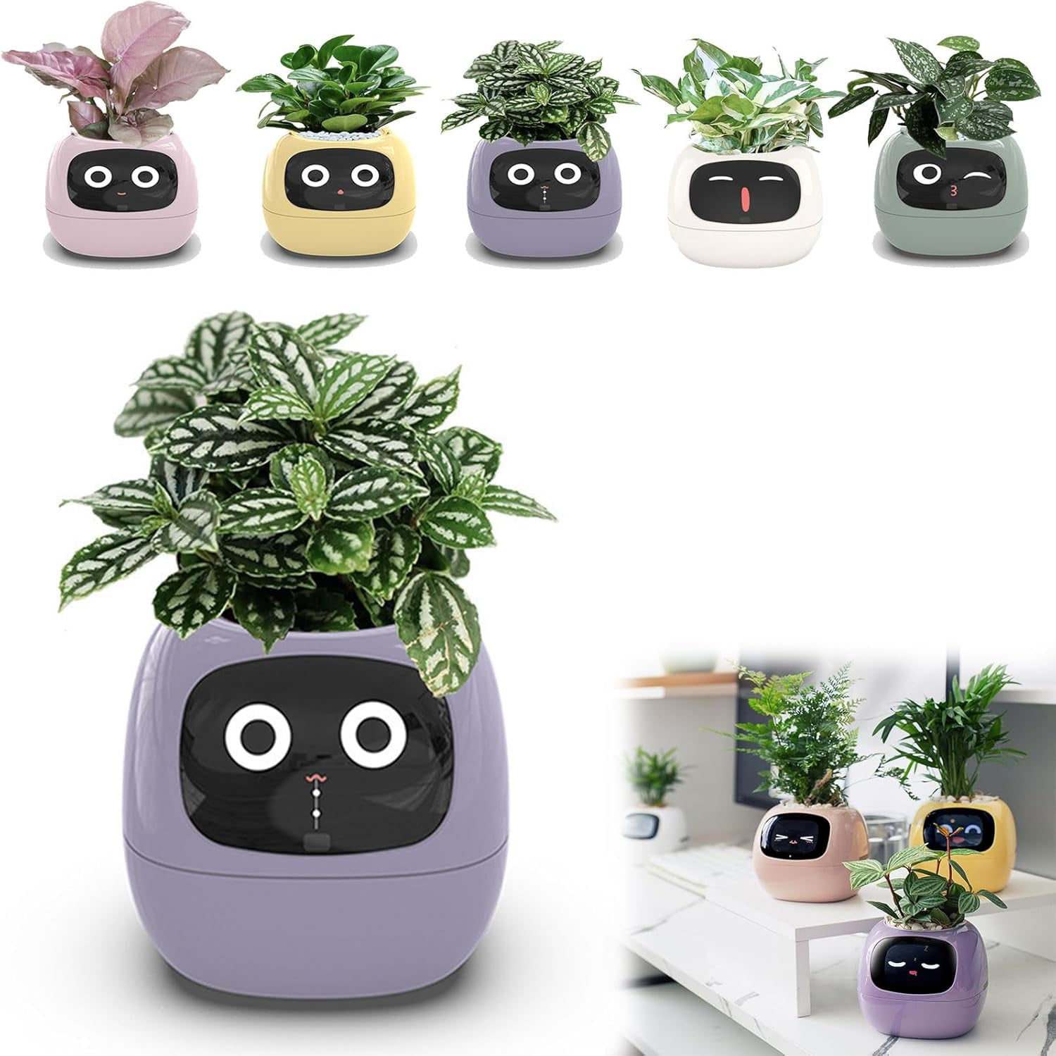 Plantagotchi Planter, Sproutly Pot, Plantagotchi Smart Planter ...
