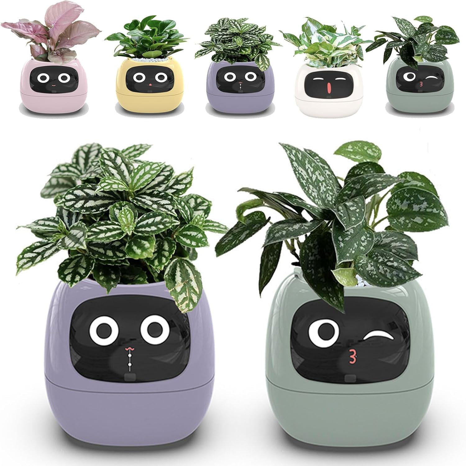 Plantagotchi Planter, Sproutly Pot, Plantagotchi Smart Planter ...