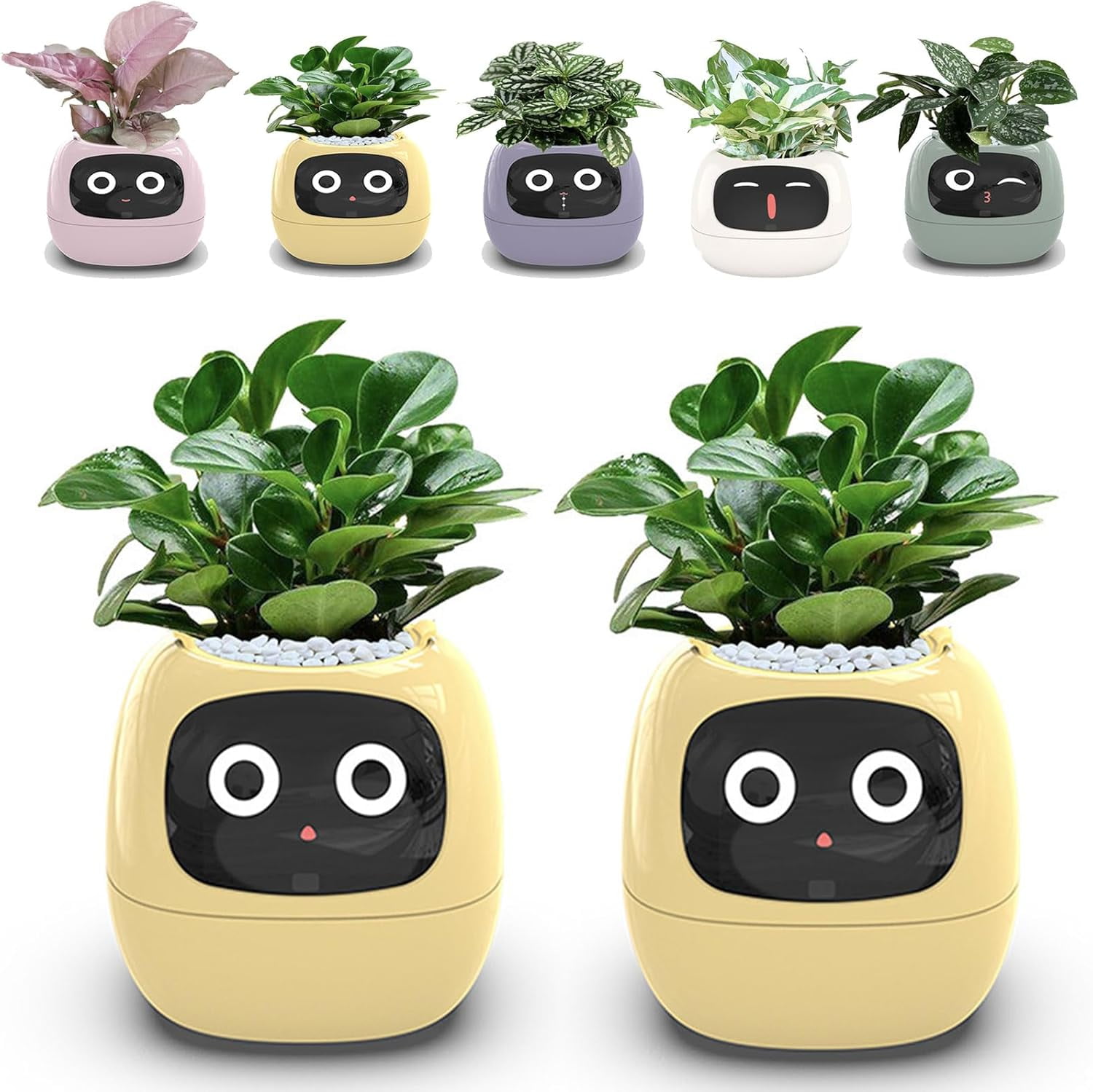 Plantagotchi Planter, Sproutly Pot, Plantagotchi Smart Planter ...
