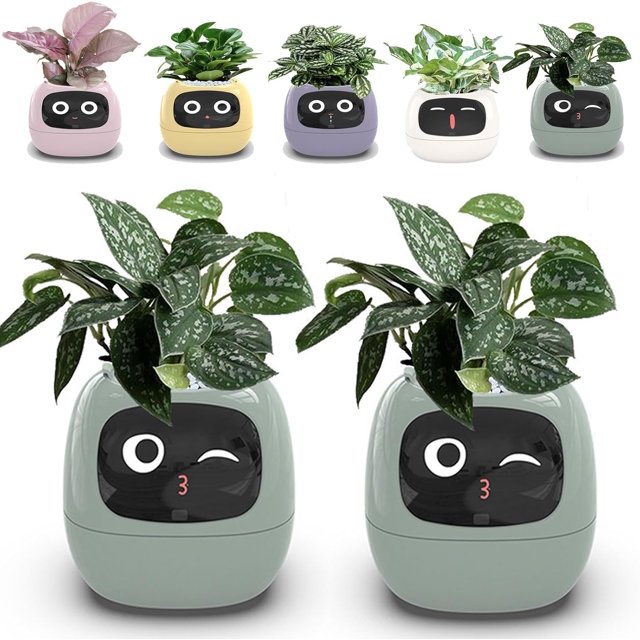 Plantagotchi Planter, Sproutly Pot, Plantagotchi Smart Planter ...