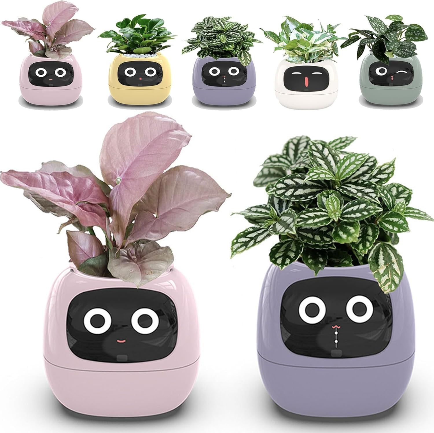 Plantagotchi Planter, Sproutly Pot, Plantagotchi Smart Planter ...