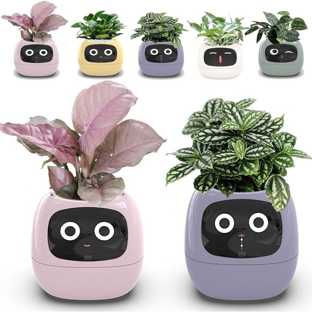 Plantagotchi Planter, Sproutly Pot, Plantagotchi Smart Planter, Sproutly AI Pot, Sproutly Smart ...