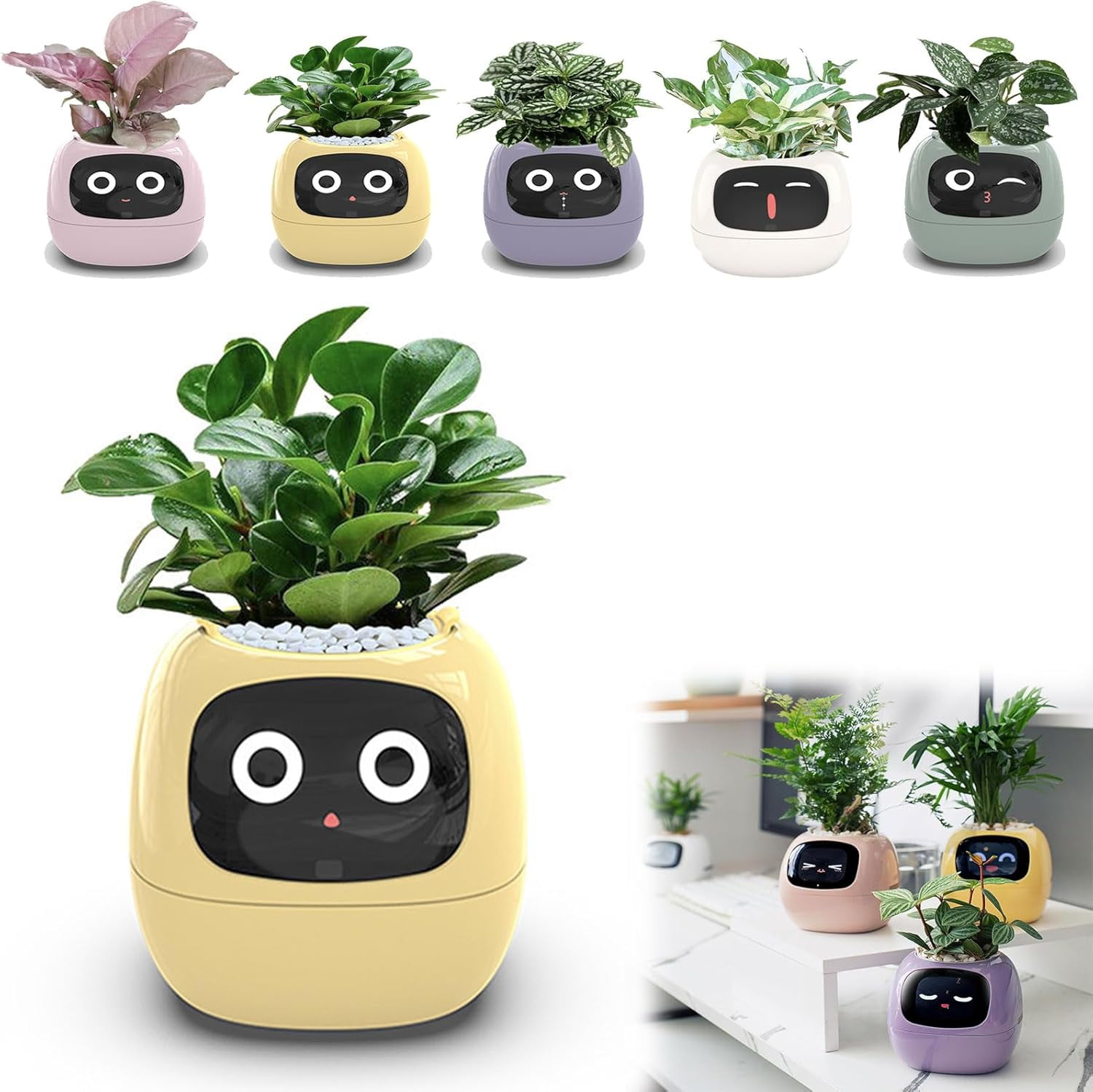 Plantagotchi Planter, Sproutly Pot, Plantagotchi Smart Planter ...