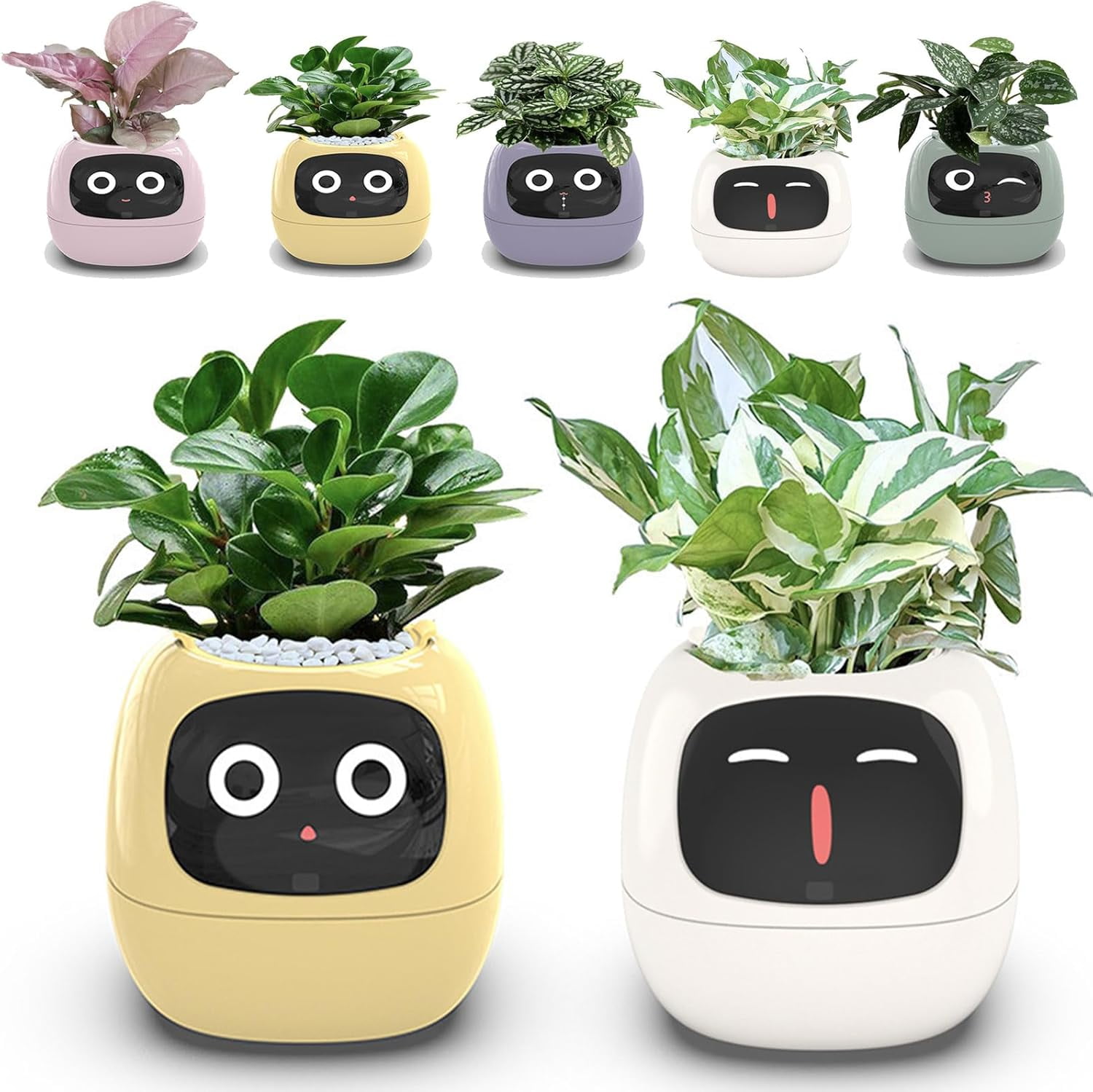 Plantagotchi Planter, Sproutly Pot, Plantagotchi Smart Planter ...