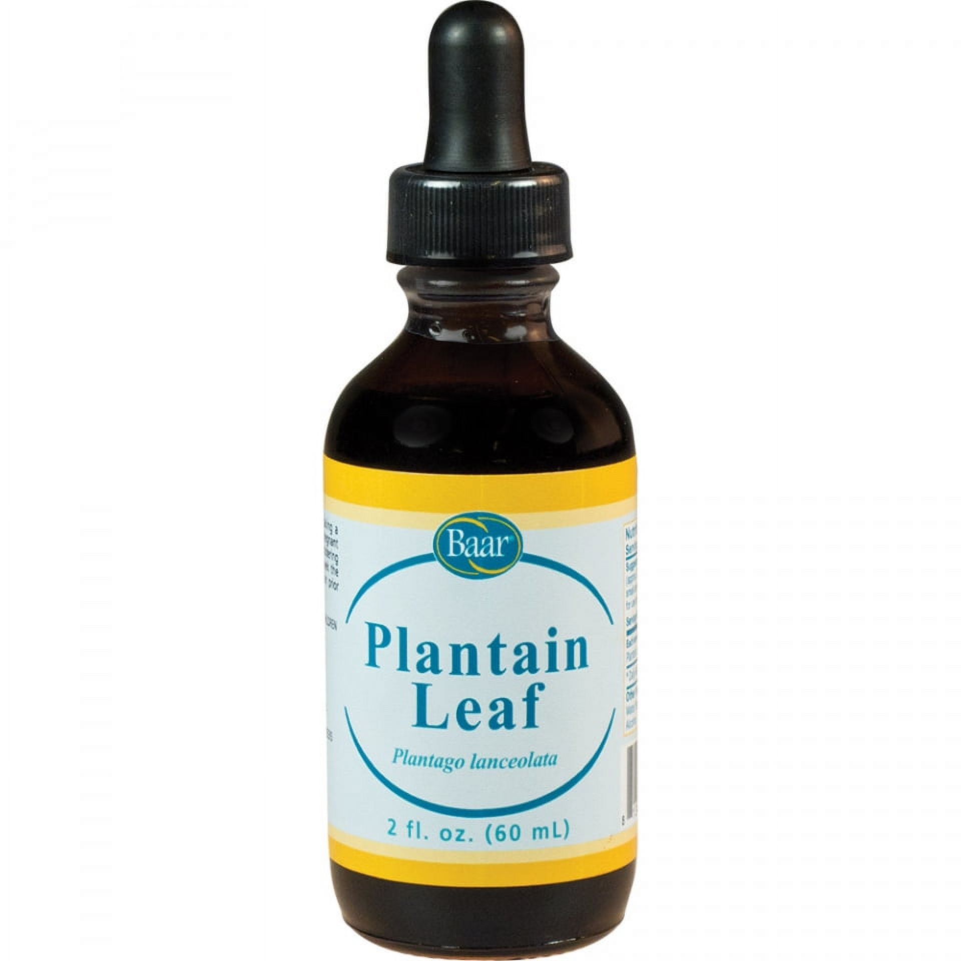 Plantain Leaf, Fluid Extract - 2 oz - Walmart.com