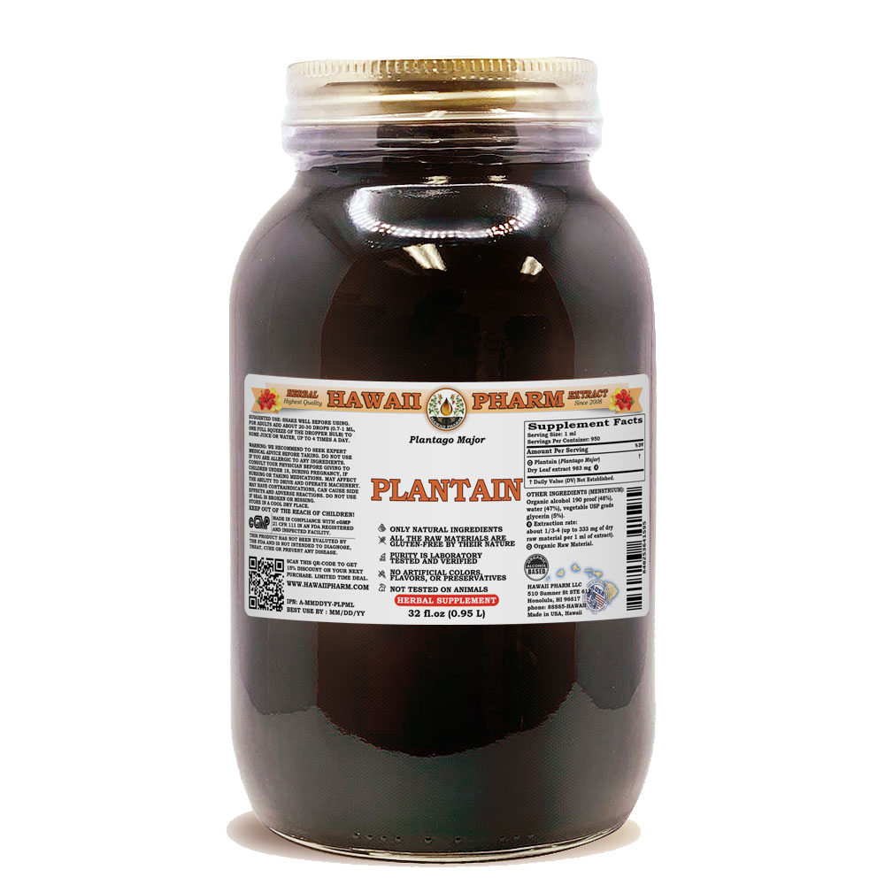 Plantain (Plantago Major) Dry Leaf Liquid Extract. Expertly Extracted ...