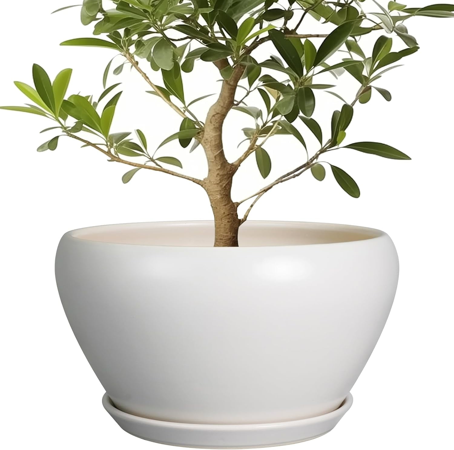 Planter for Indoor Plants 13 Inch - Ceramic Plant Pot with Drainage ...