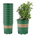 6inch Nursery Pack, 10 Green Plastic Planter Pots for Indoor Planting ...