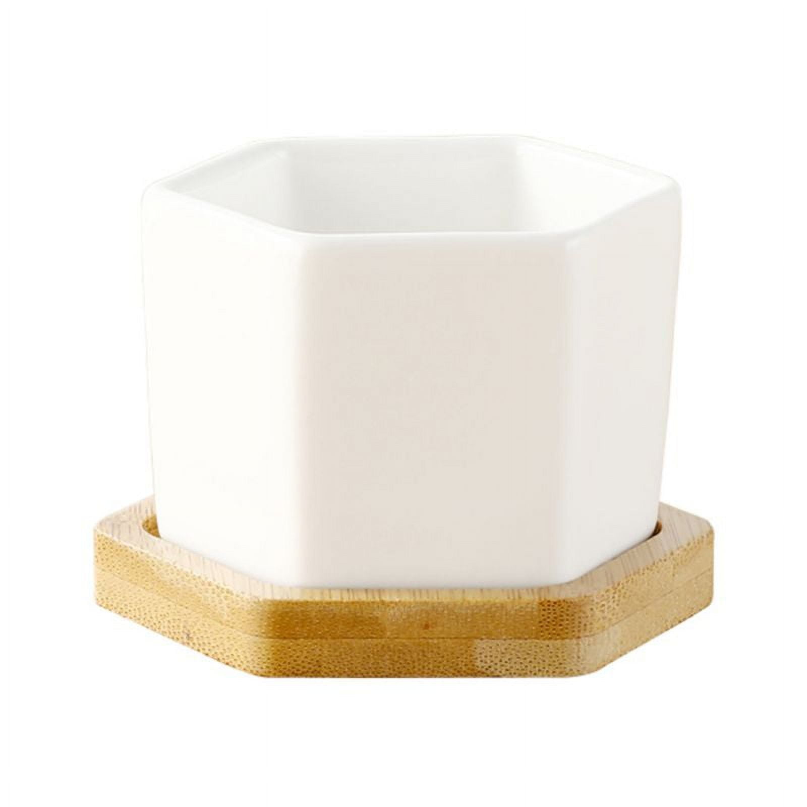Planter Pots Indoor, Modern White Ceramic Small Hex Succulent Cactus ...