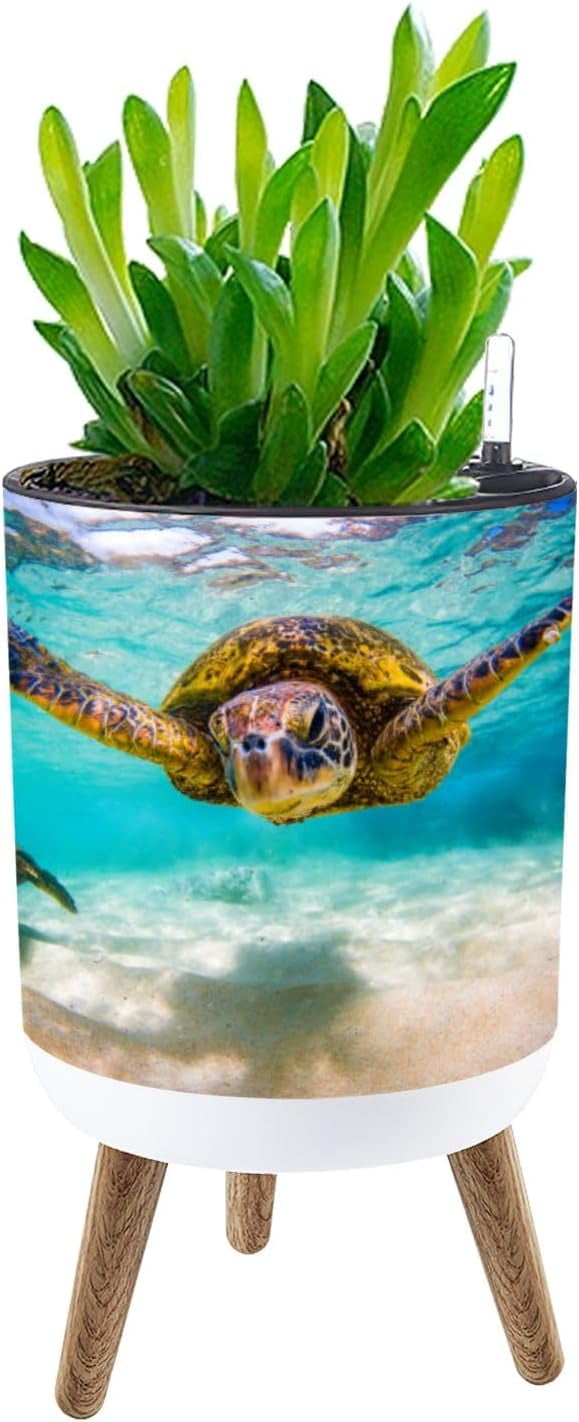 Planter with Stand Beautiful Hawaiian Green Sea Turtle Coastal Pot with ...