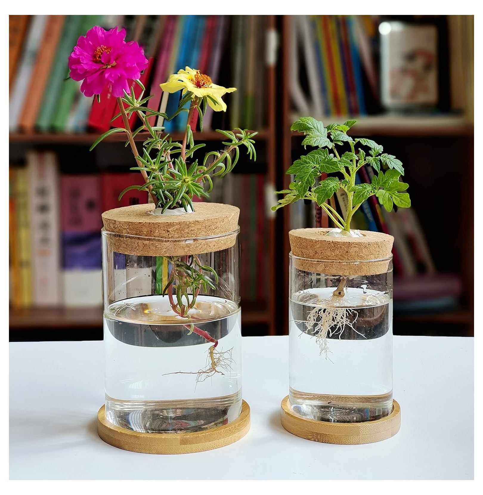 Planter Terrariums Hydroponic Glass Vases Propagation Station ...