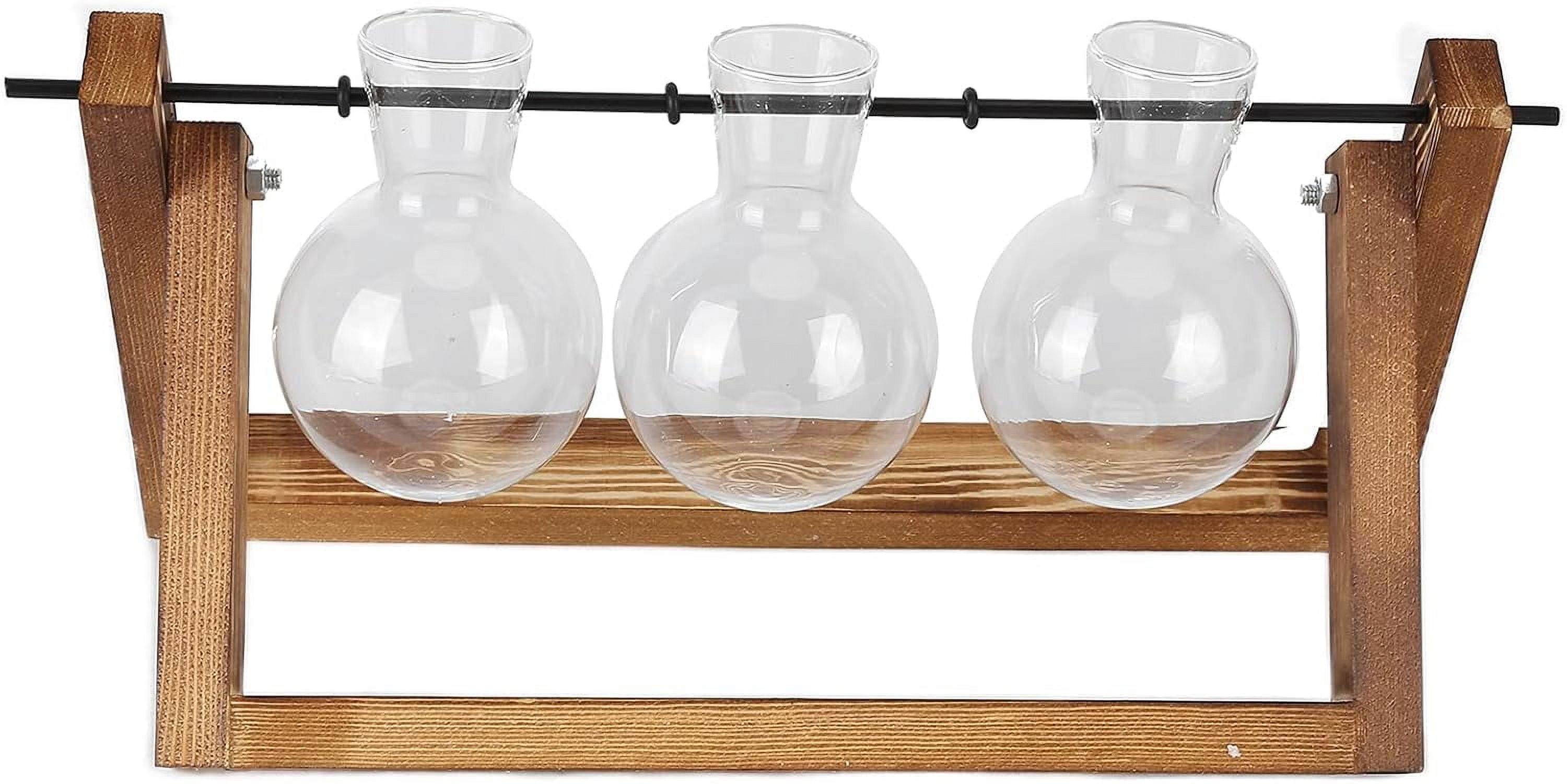 Planter Vase Holder, Glass Vase, Plant Terrarium with Wooden Stand ...