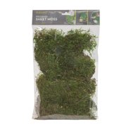 Proflora Preserved Forest Moss, True Green, 320 CU in - Walmart.com