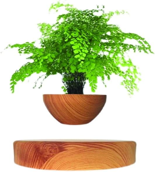 Planting Flower pots,Levitating Plant Pot,Magnetic levitation,Floating ...