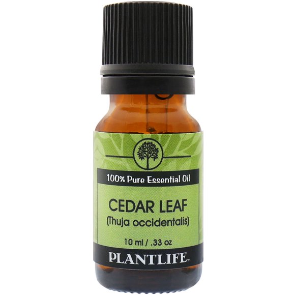 Cedar Oil