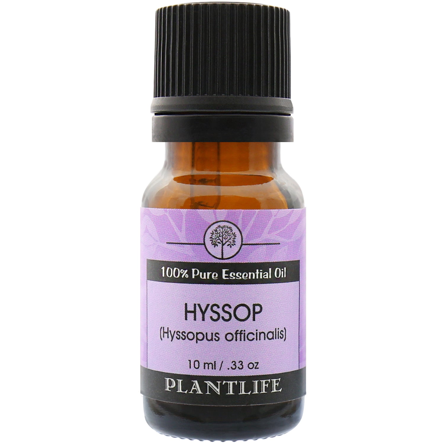 Plantlife Hyssop Aromatherapy Essential Oil - Straight From The Plant ...