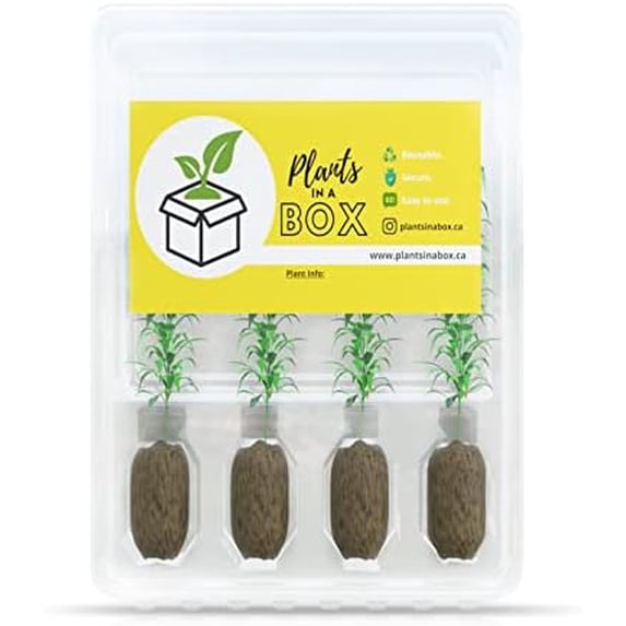 Plants in A Box Cloner Shipping Box - Reusable Plant Nursery Pots ...