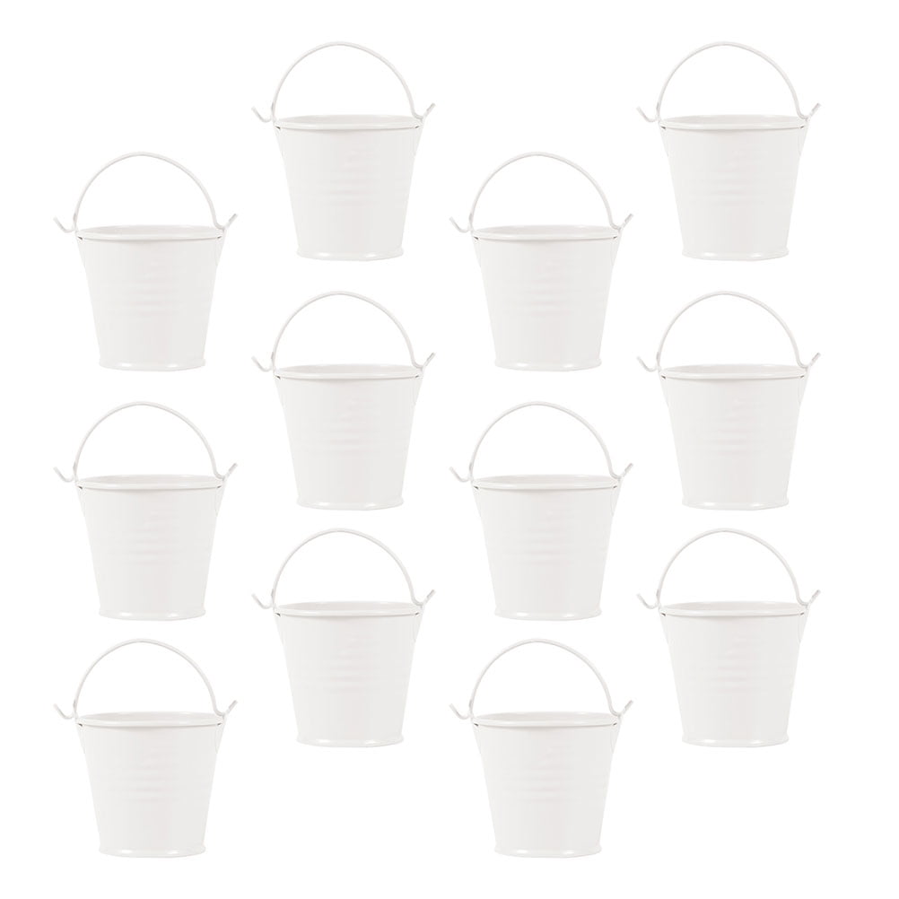 Plants Bucket Pot Retro Decor 12 Pcs Tin Iron Succulents Pots for ...