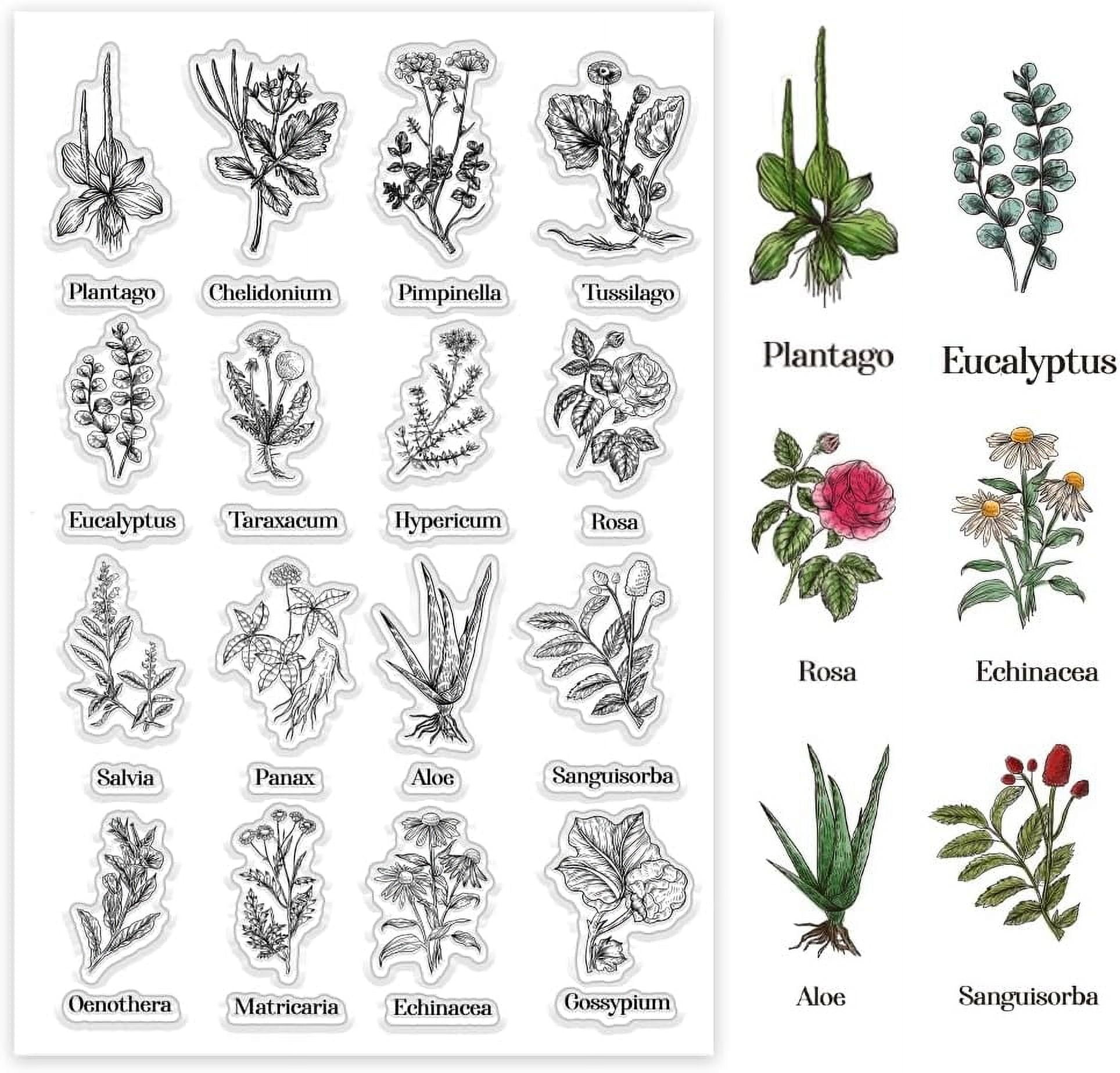 Plants Clear Stamp 16 Styles Flower Vegetation Silicone Stamp ...